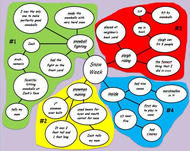 Beginning Writing Rough Draft Organizer Persuasive Paragraph Graphic
